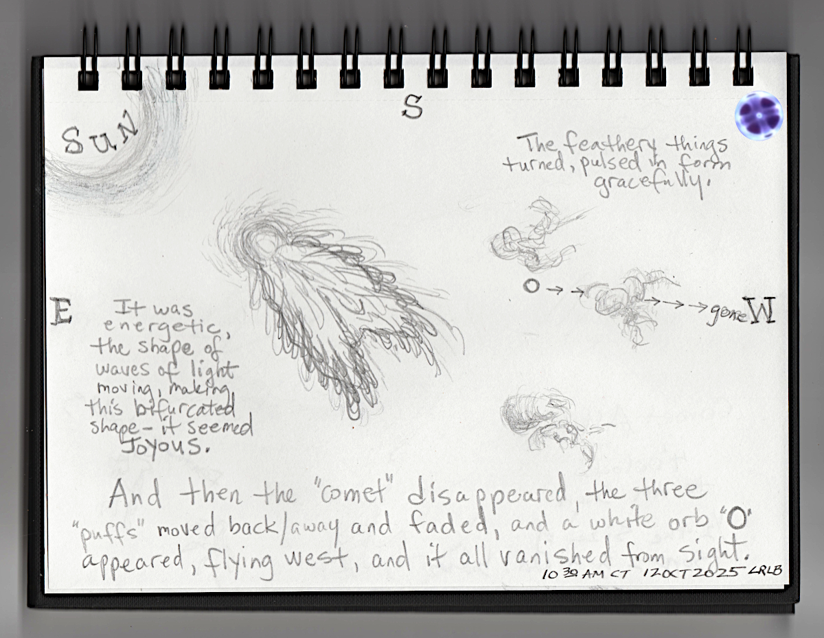 SIGHTINGS OF THE COMET THE ASCENSION DIET EATING TO ASCEND